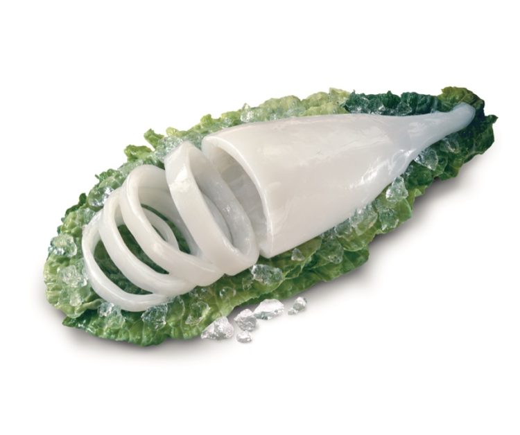 Bulk Argentine Squid Rings - Quality for Distributors