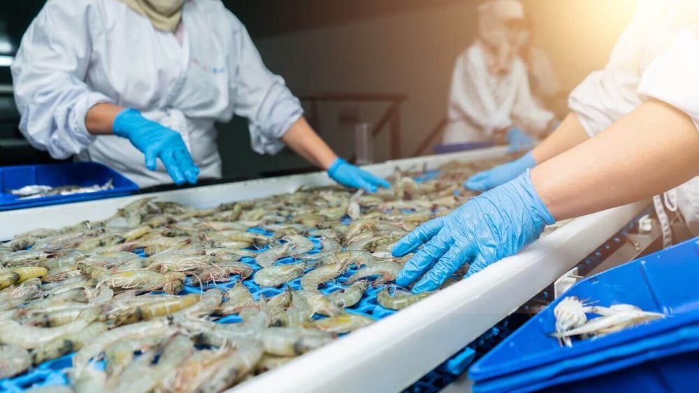 Conservación de Pescados y Mariscos | Krustagroup