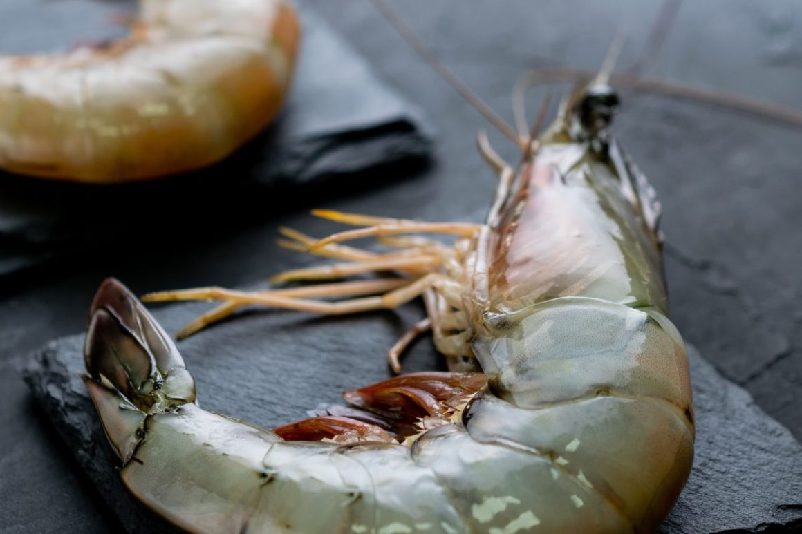 White Shrimp vs Pink Shrimp: Main Differences | Krustagroup